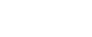 Our Team - Lotus Consulting